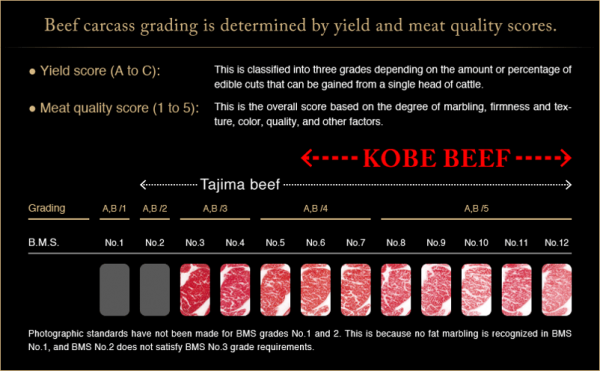 Criteria for Kobe Beef - Kobe Beef